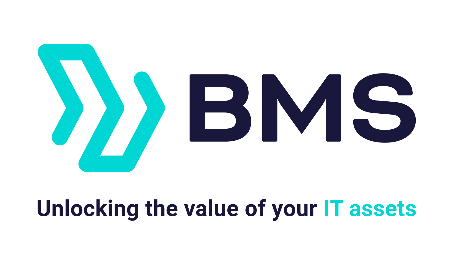 BMS-IT Limited • RBA • Rosebank Business Association