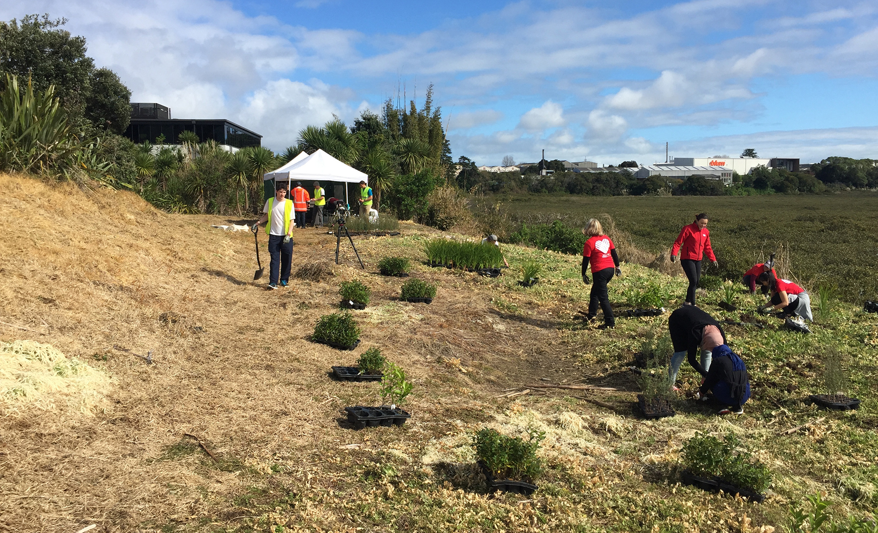 The Whau River Catchment Trust • RBA • Rosebank Business Association